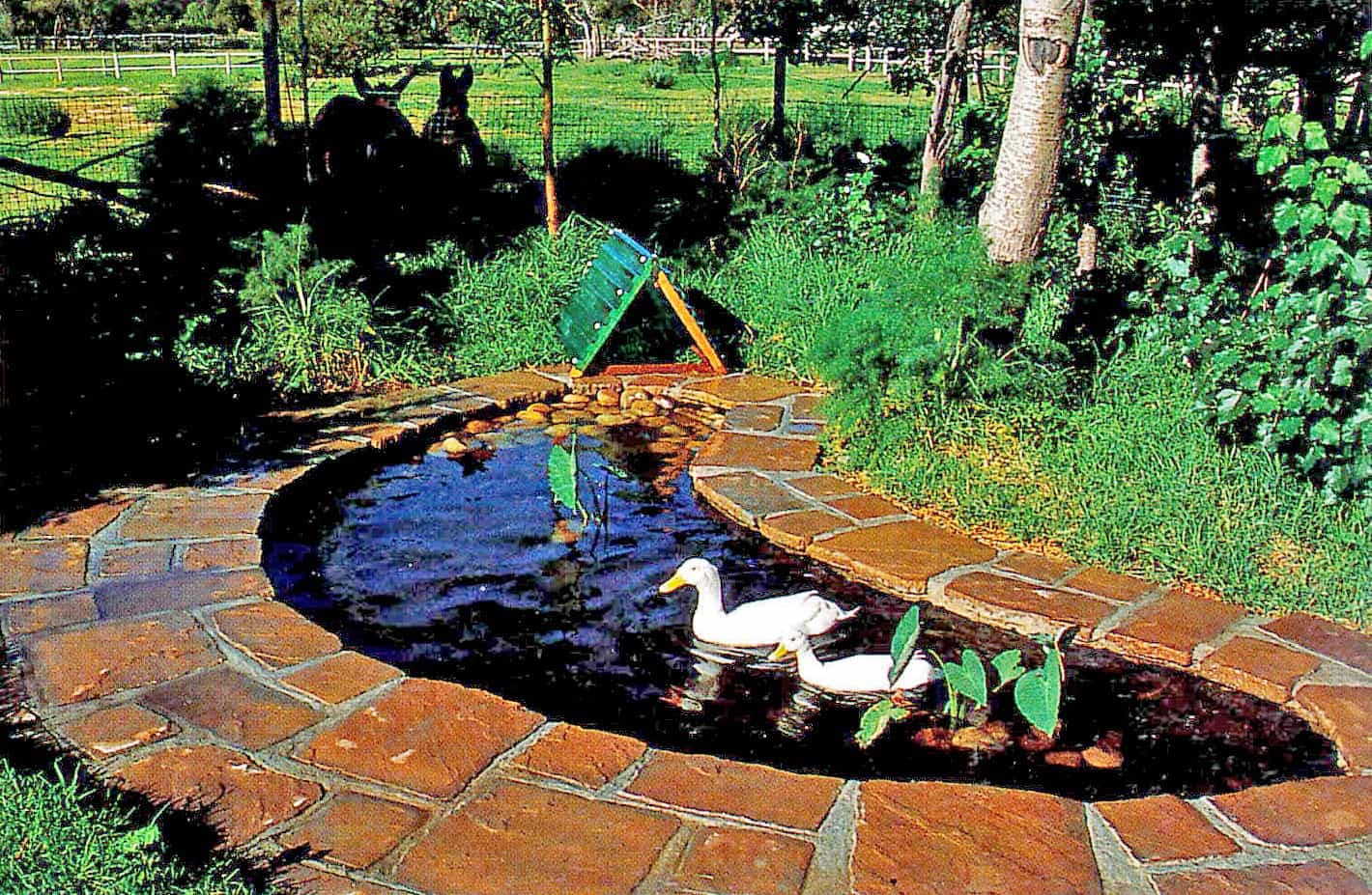 Build Yourself A Simple Wooden Bridge In 11 Easy Steps - The Pond Professor
