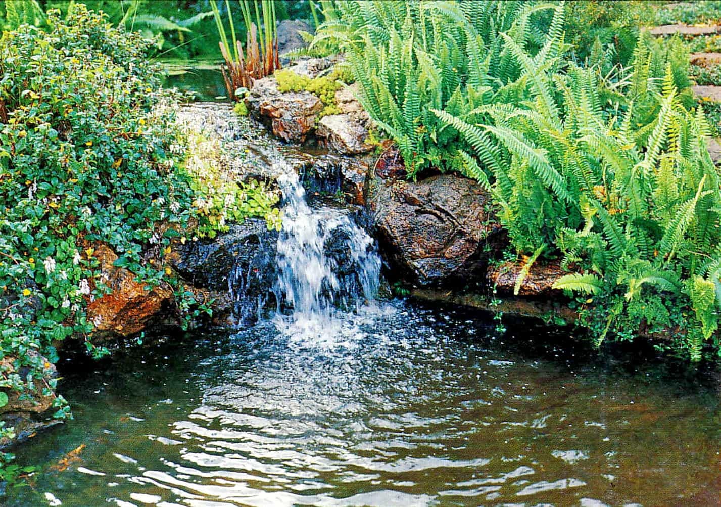 Splashing Waterfall in 7 stages - The Pond Professor
