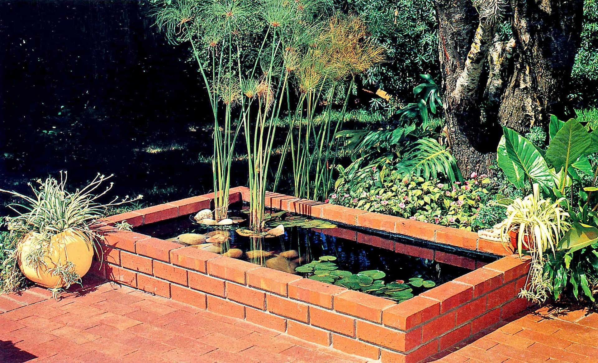Build Yourself A Simple Wooden Bridge In 11 Easy Steps - The Pond Professor